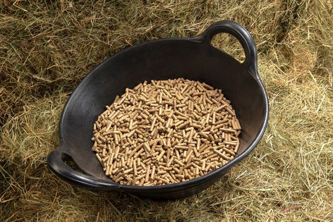 Horse & Pony Cubes | SPILLERS Feeds