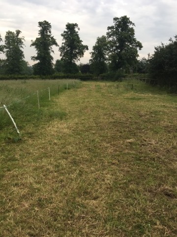 TRACK SYSTEM AT HORSE HAVEN UK Horse Haven UK Paddock, 55% OFF