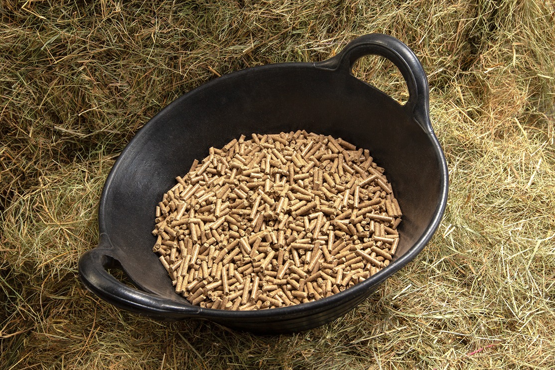 High Fibre Cubes | SPILLERS Feeds