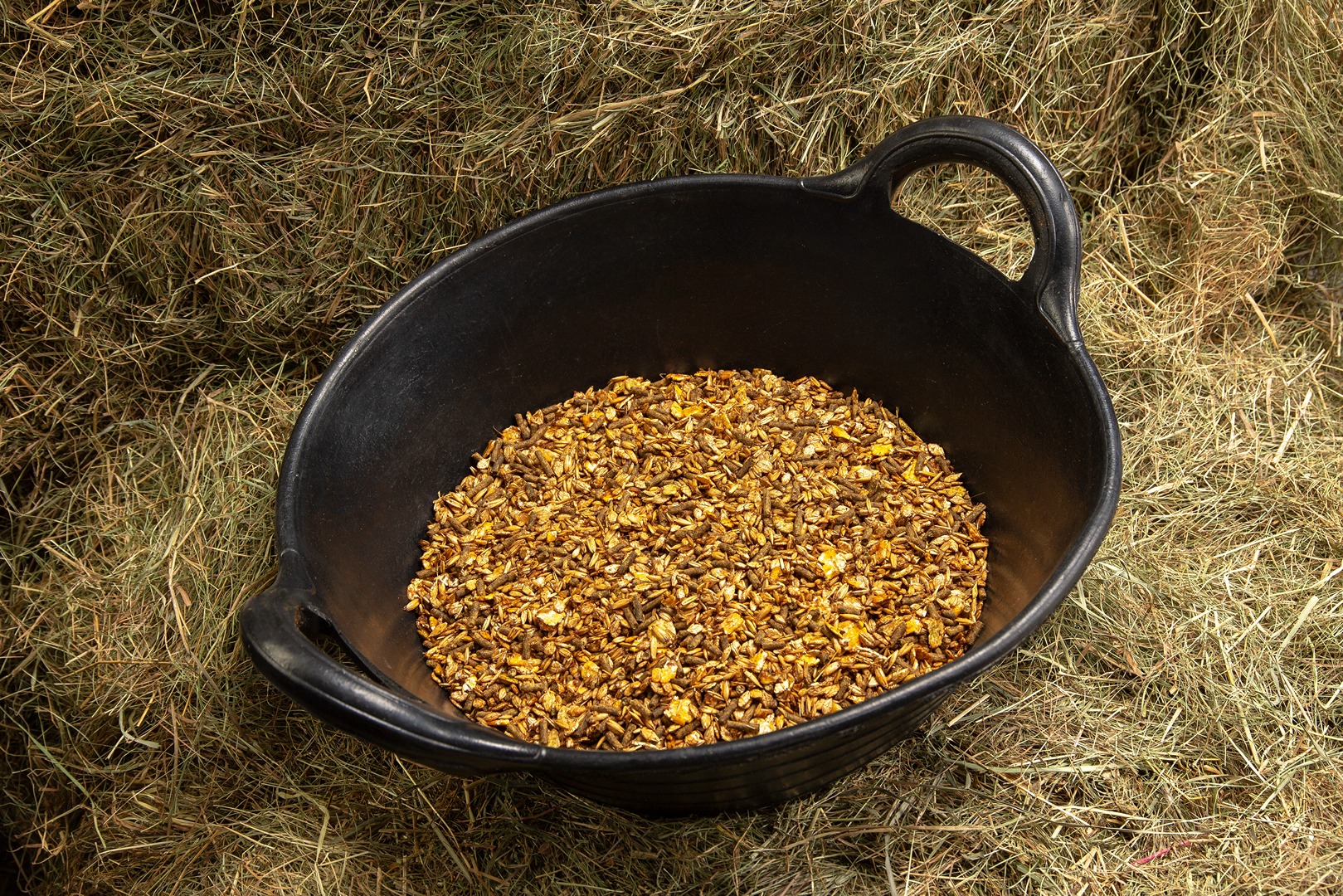 Racing Mix | SPILLERS Feeds