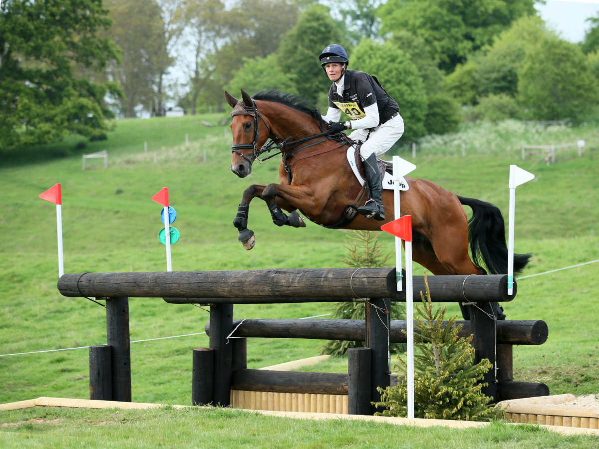 Fuelling a 5* Eventer: Top Tips for Feeding the Competition Horse